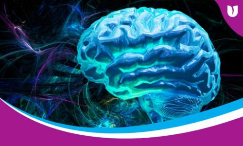 David Veness recognised for service | Parkinsons NSW